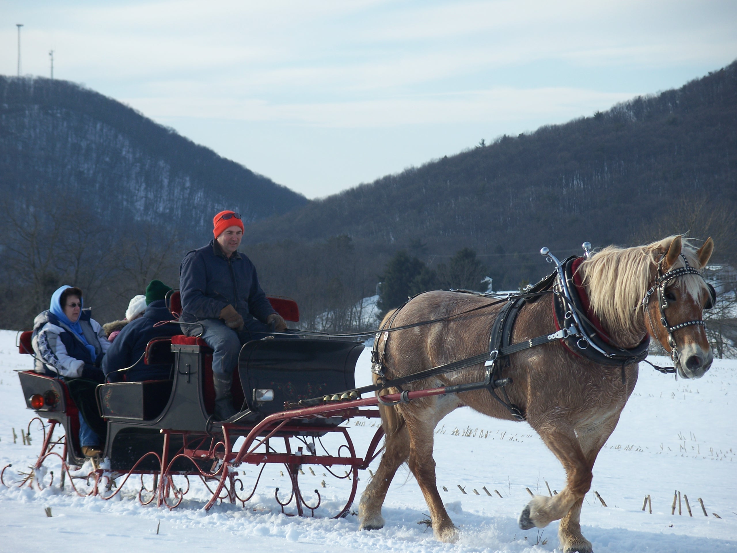 Sleigh Rides - Horse Drawn Wedding Carriage Rides