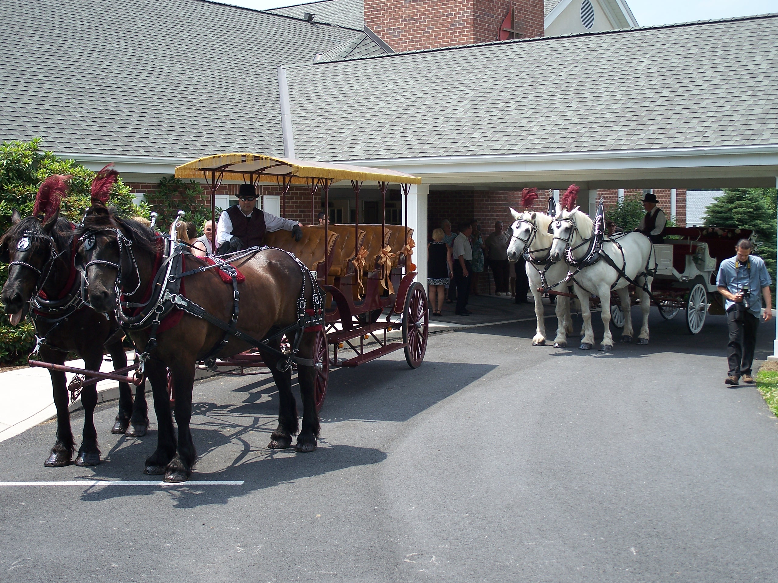Weddings & Proms - Horse Drawn Wedding Carriage Rides